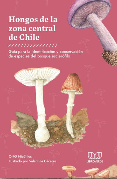 Hongos de la Zona Central de Chile – Espacio Forestal - Qué Leo Forestal