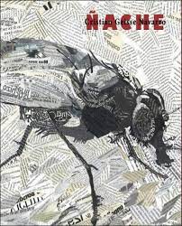 Ñache – Espacio Forestal - Qué Leo Forestal